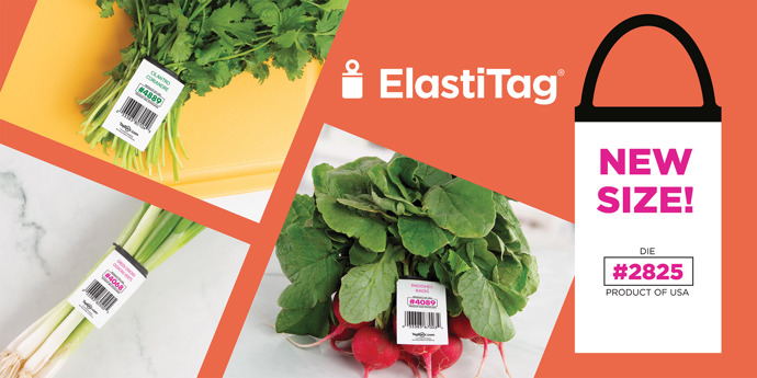 ElastiTag: A Smarter Alternative to Rubber Band Tags | Bedford